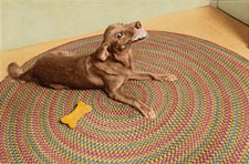 How to Teach the Leave It Command - Chelsea Dogs Blog