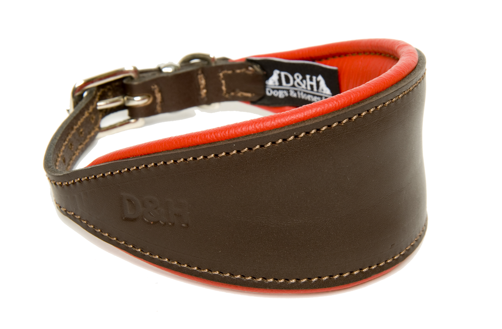 Best Greyhound Collars - Chelsea Dogs Blog