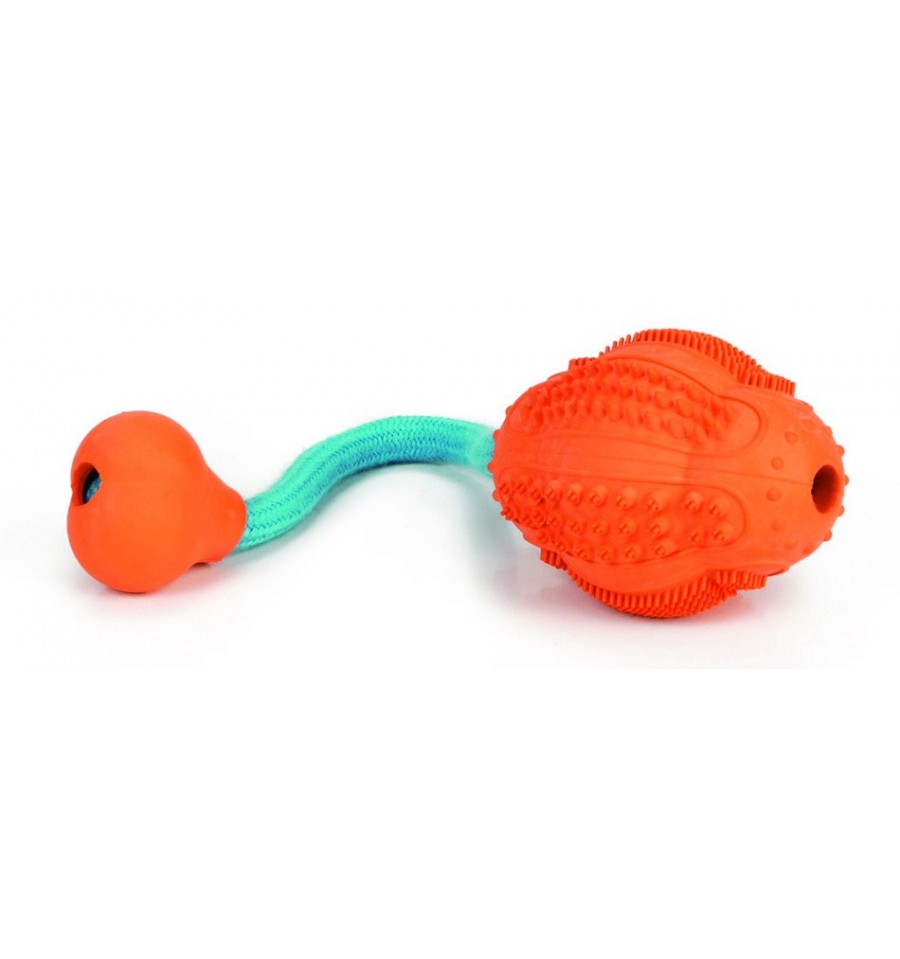 Best Puppy Teething Toys - Chelsea Dogs Blog