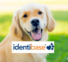 Find Lost Pets With Identibase - The UK's Leading Pet Database ...