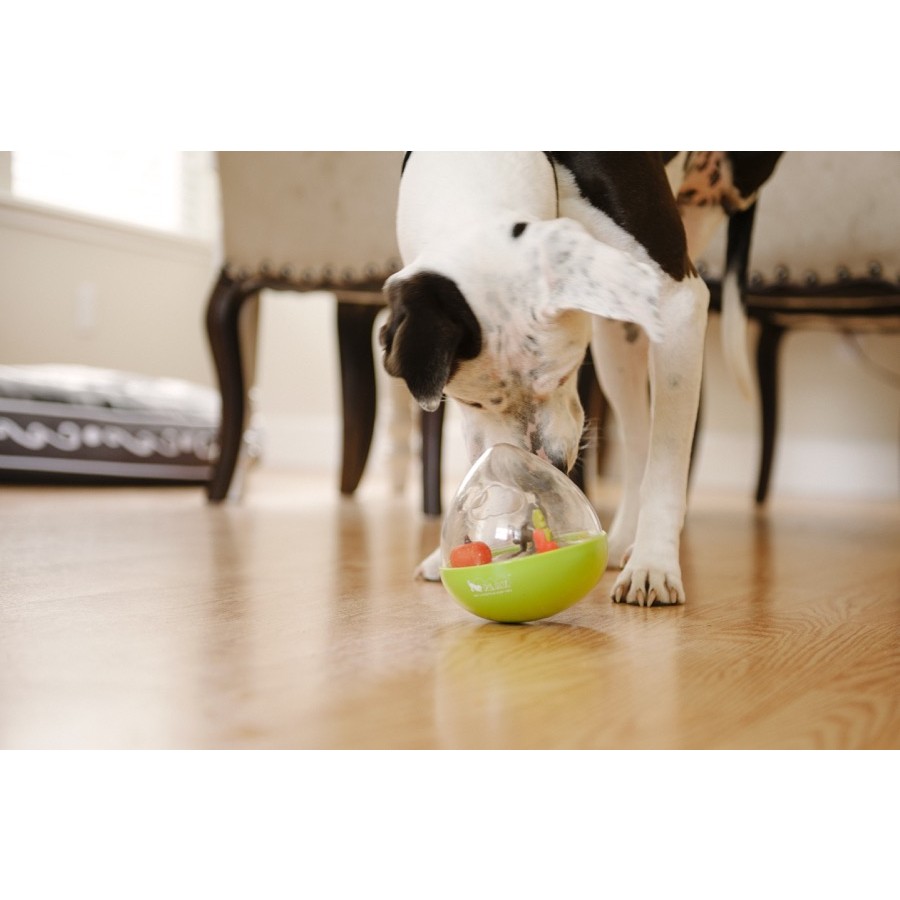 Interactive Play – Why It’s Important for the Development of Your Puppy ...